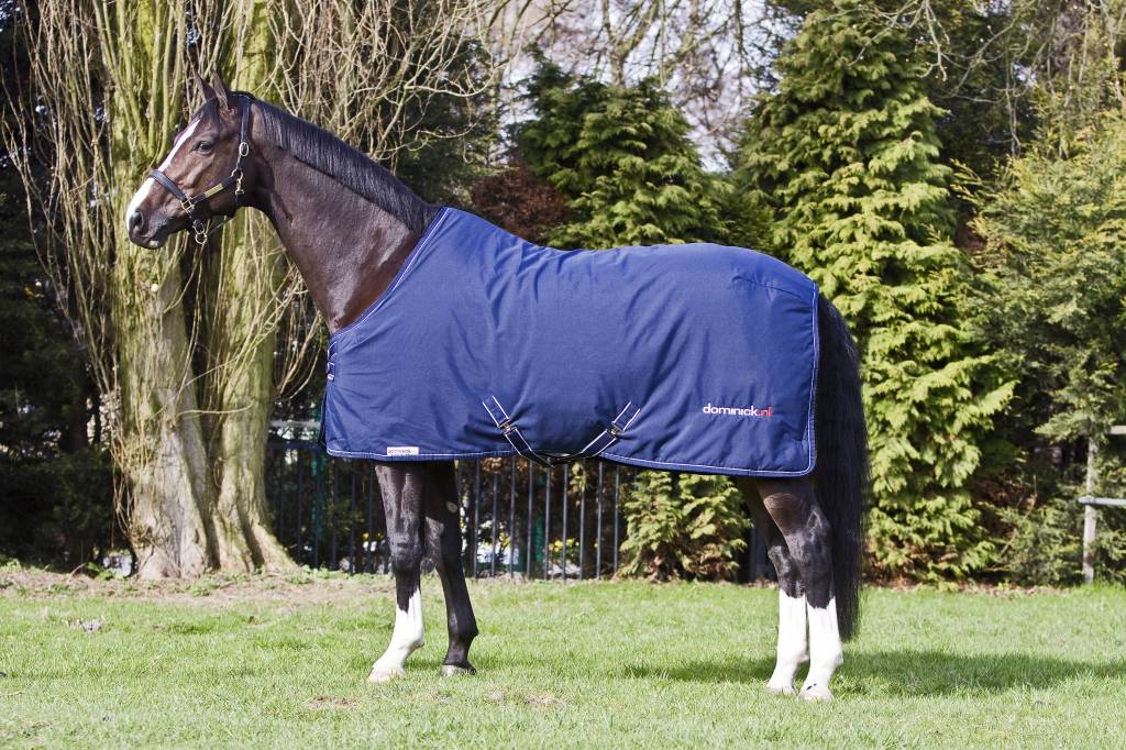 Stable Rug 350gr – C & T Horse Gear